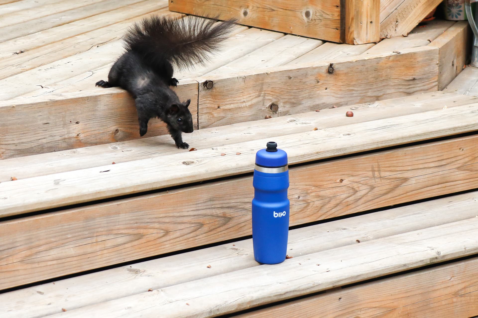 Bivo Water Bottle Review: The Bidon Rebooted
