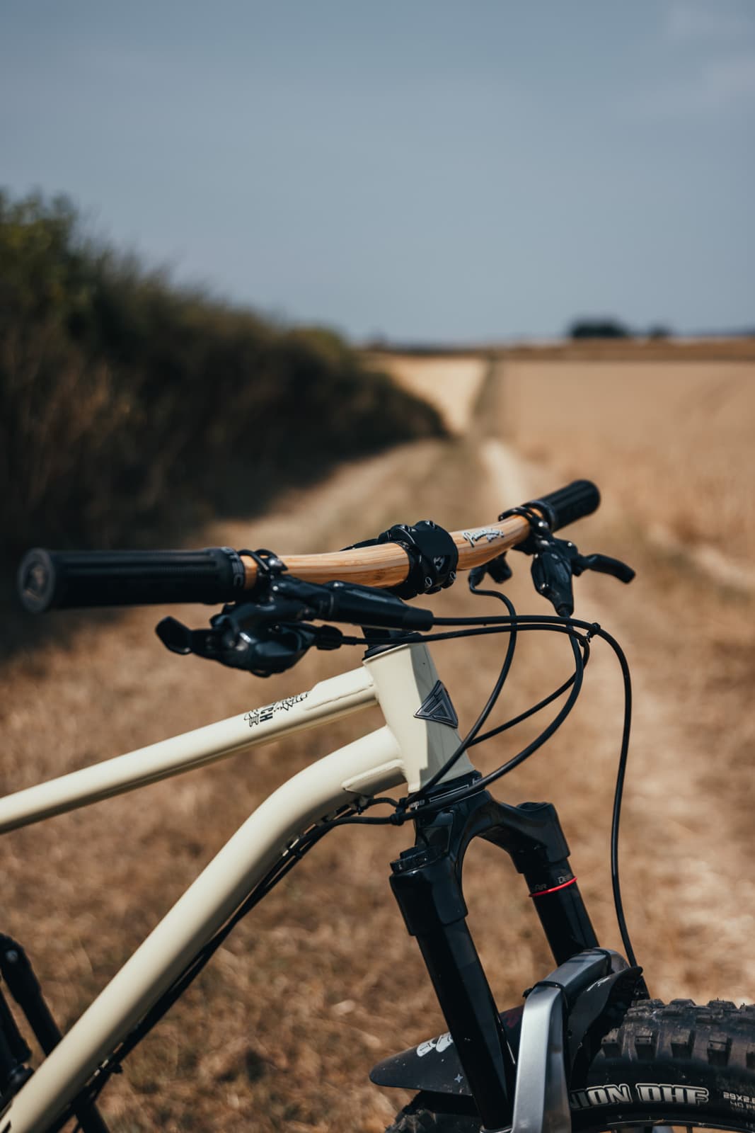 Passchier Astaire Handlebar Review