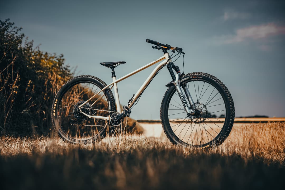 Passchier Astaire Handlebar Review